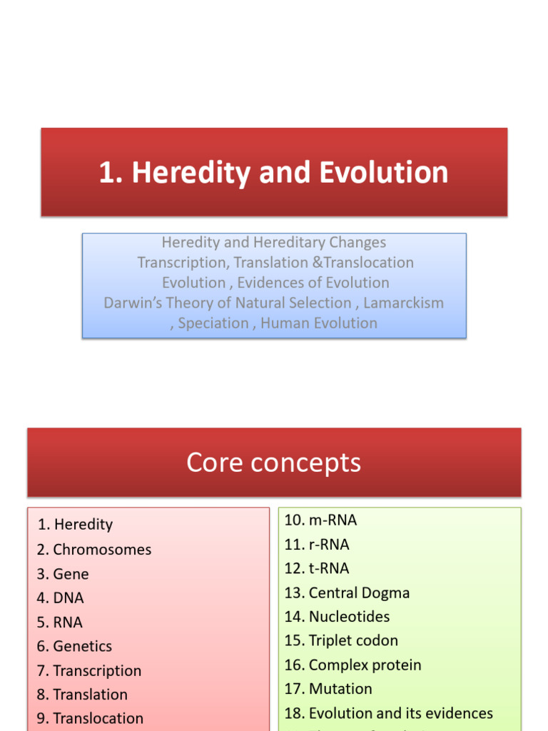 Heredity and Evolution Explained | PDF | Translation (Biology ...