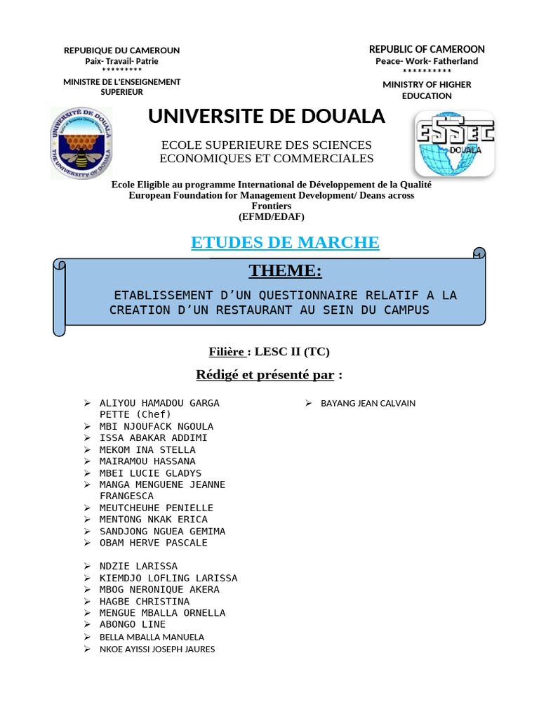 Etude de Marché | PDF