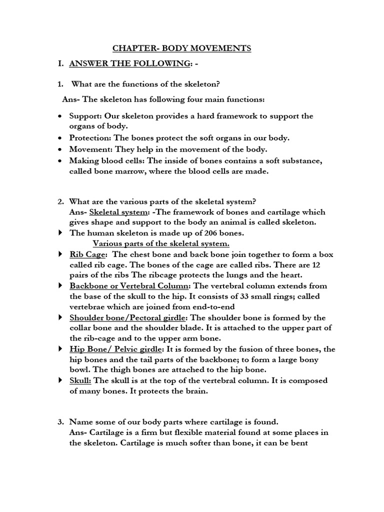 Grade 6 - Body Movements - Notes | PDF | Skeleton | Vertebral Column