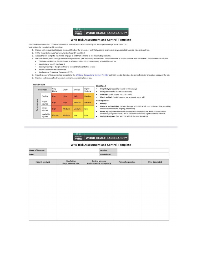 Risk Control Form | PDF