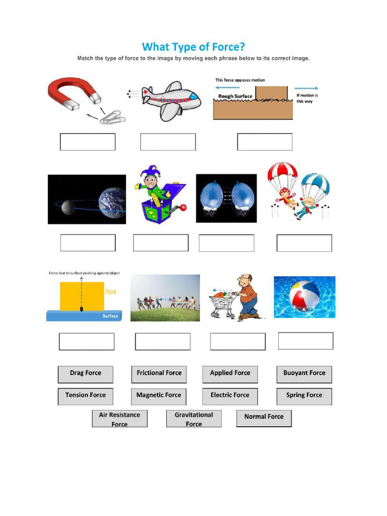 Type of Forces Worksheet Year 8 | PDF