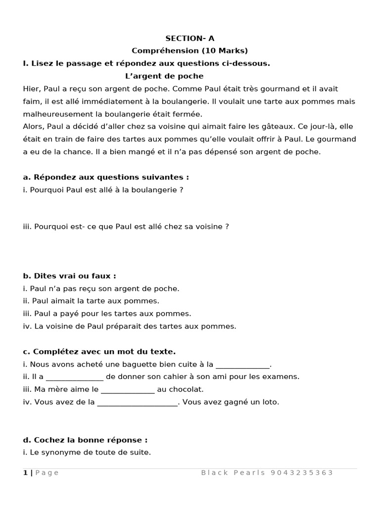 IX Model Paper 1 | PDF