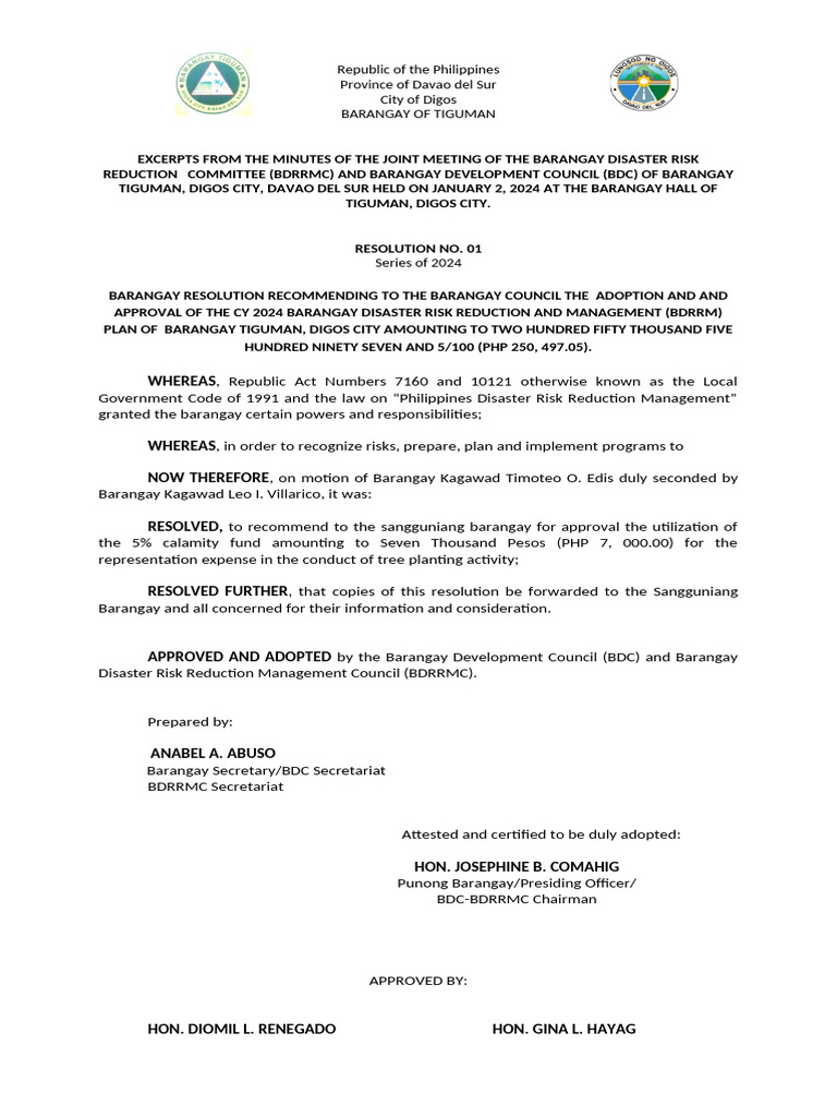 BDRRMC Resolution No.01 | PDF