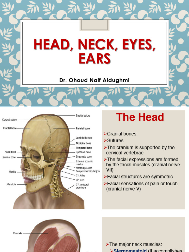 Head, Neck, Eyes, Ears 2 | PDF
