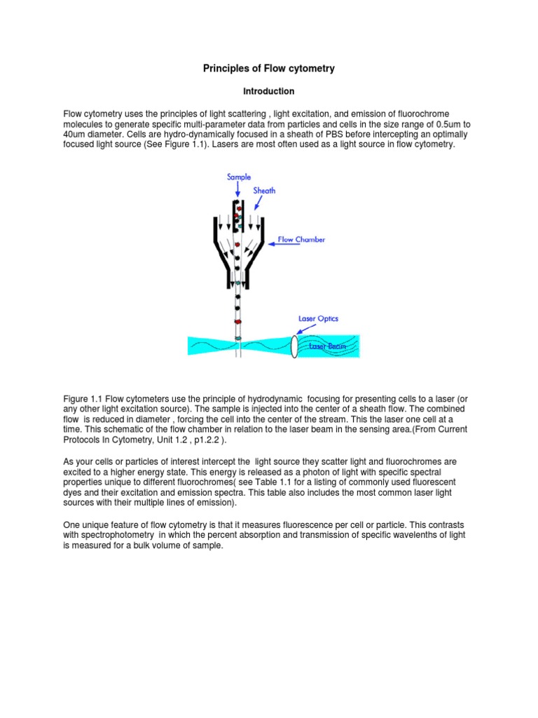 Principles of Flow Cytometry | PDF | Flow Cytometry | Fluorophore