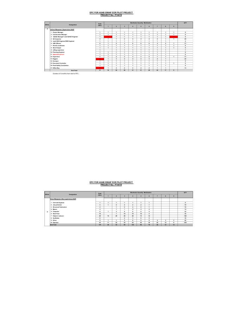 Construction Workforce Plan | PDF | Mechanical Engineering