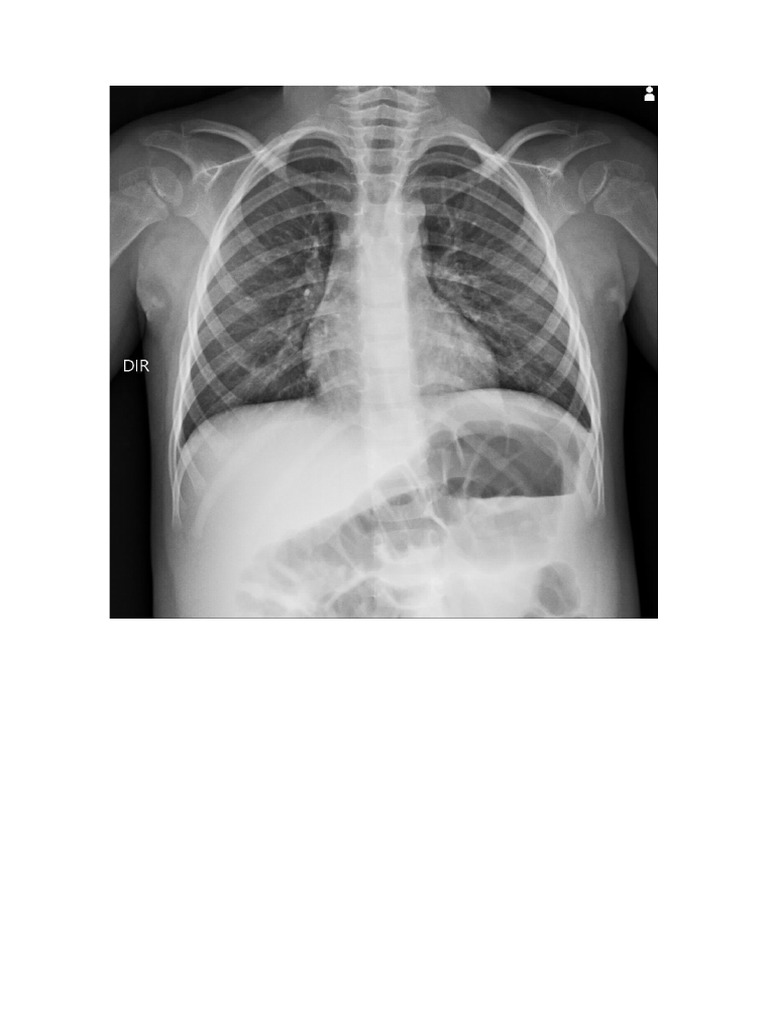 Novo (A) Documento Do Microsoft Word | PDF