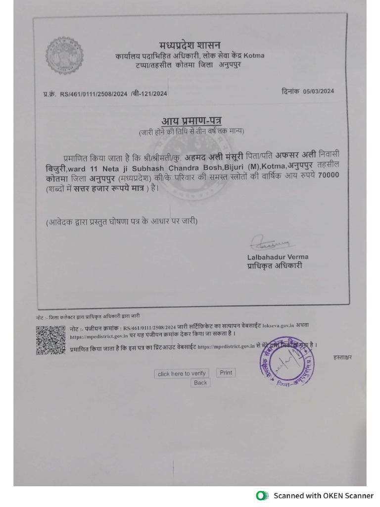 Income Certificate | PDF