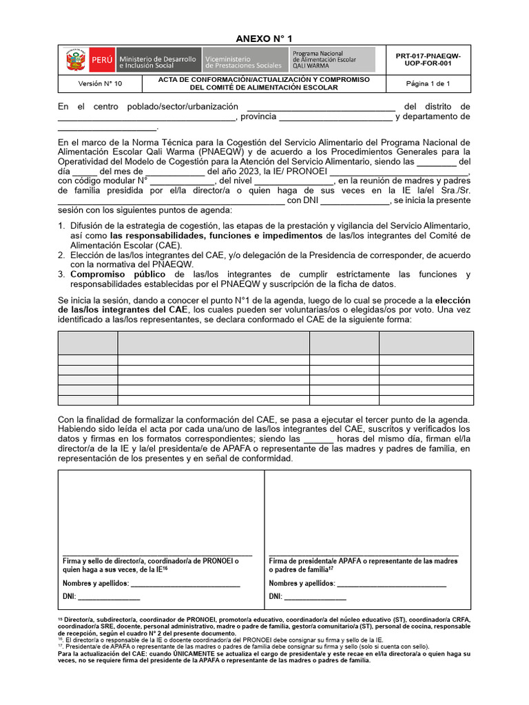 ANEXOS CONFORMACION CAE - VERSION 10 | PDF