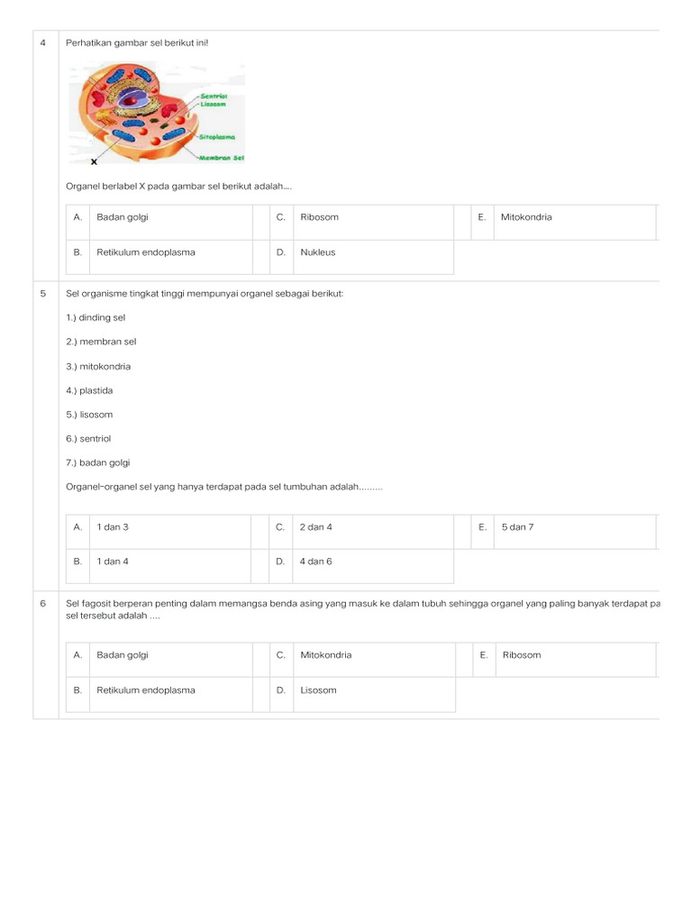 Latihan soal Biologi (XI) | PDF