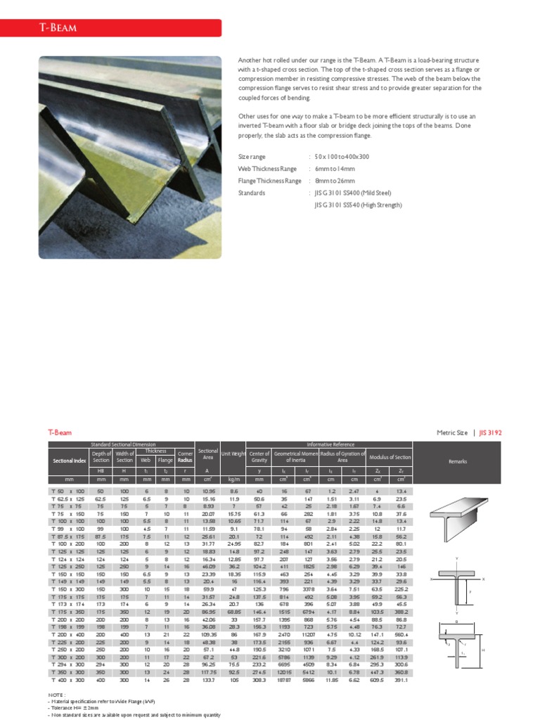 Standard Sectional Dimensions and Properties of JIS T-Beams | PDF
