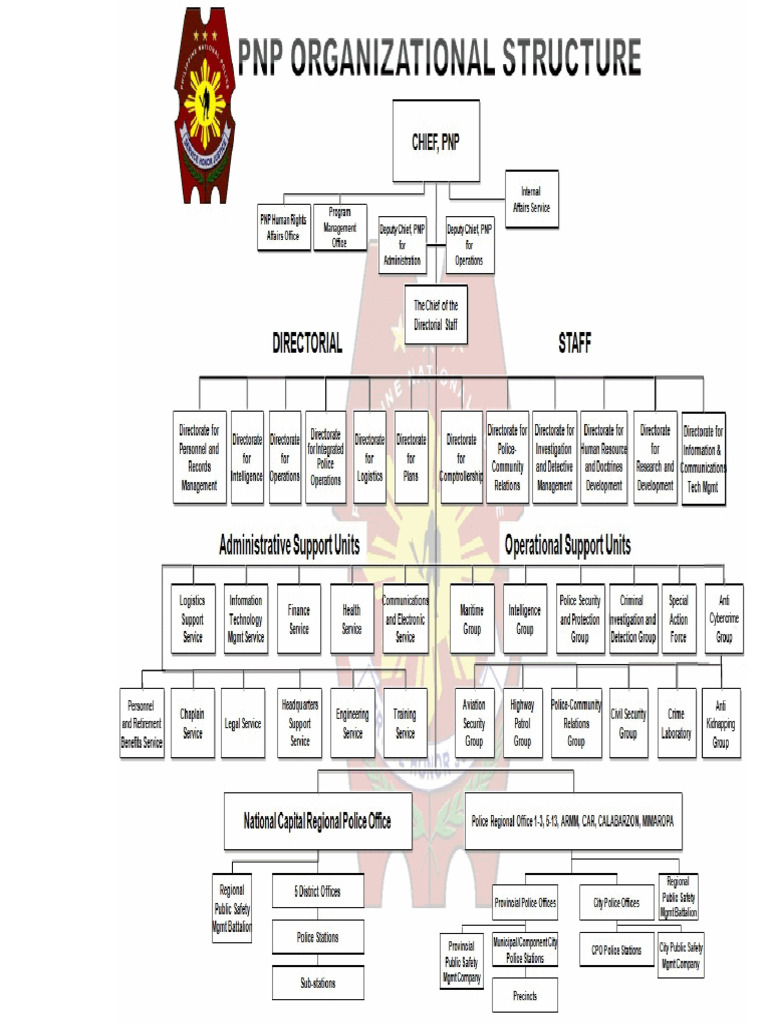 PNP Structure | PDF