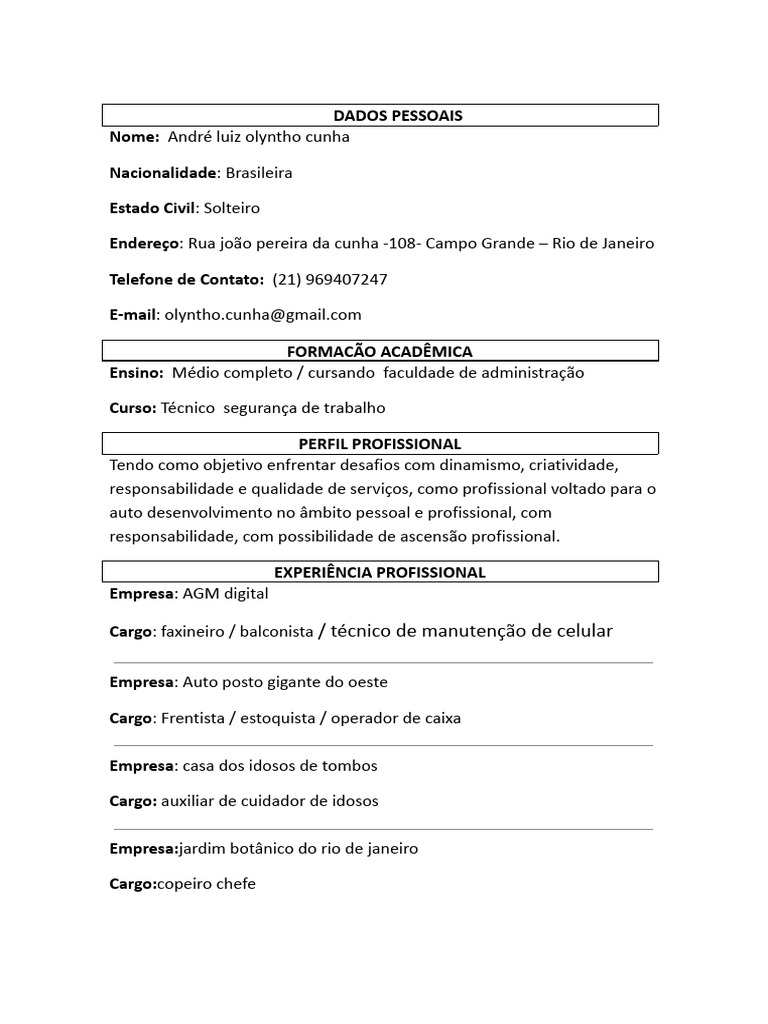 CURRICULO André Atualizado | PDF