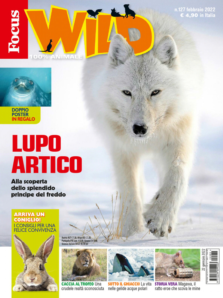 Focus Wild - 127 | PDF