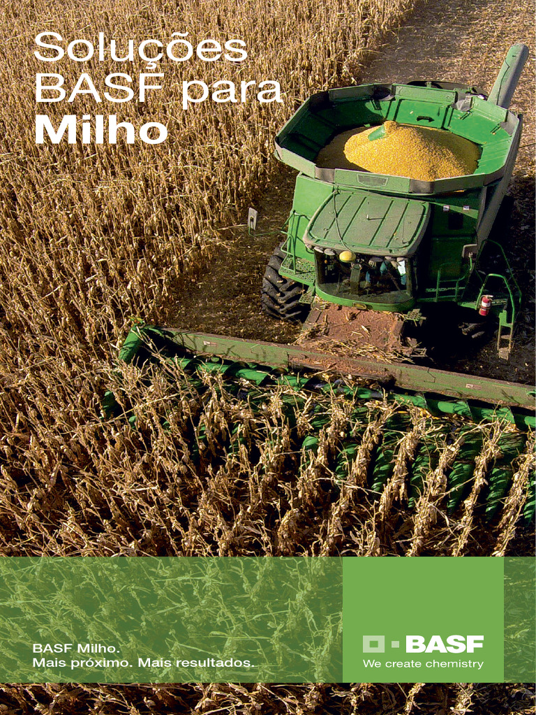 BASF Solutions For Corn | PDF