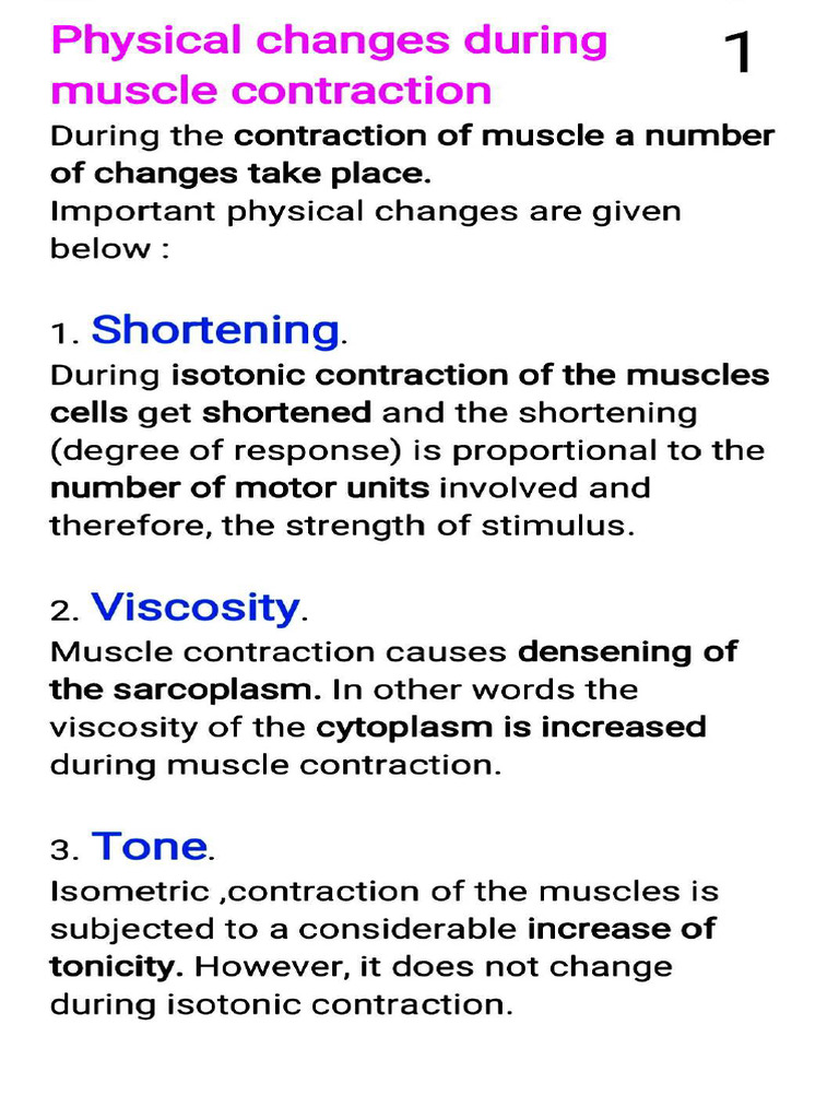 Muscle | PDF