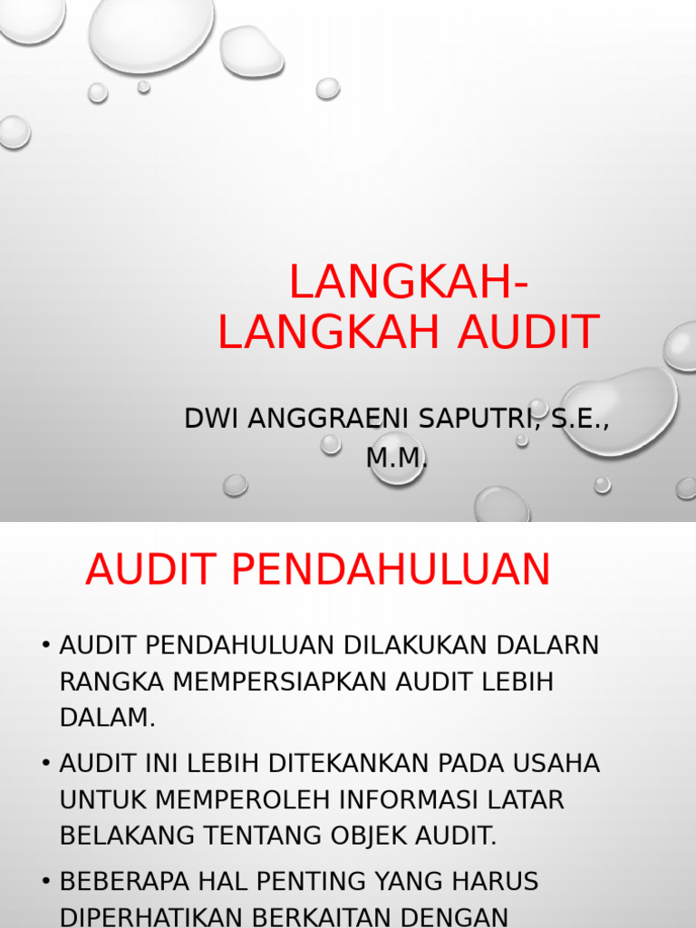 Langkah-Langkah Audit | PDF