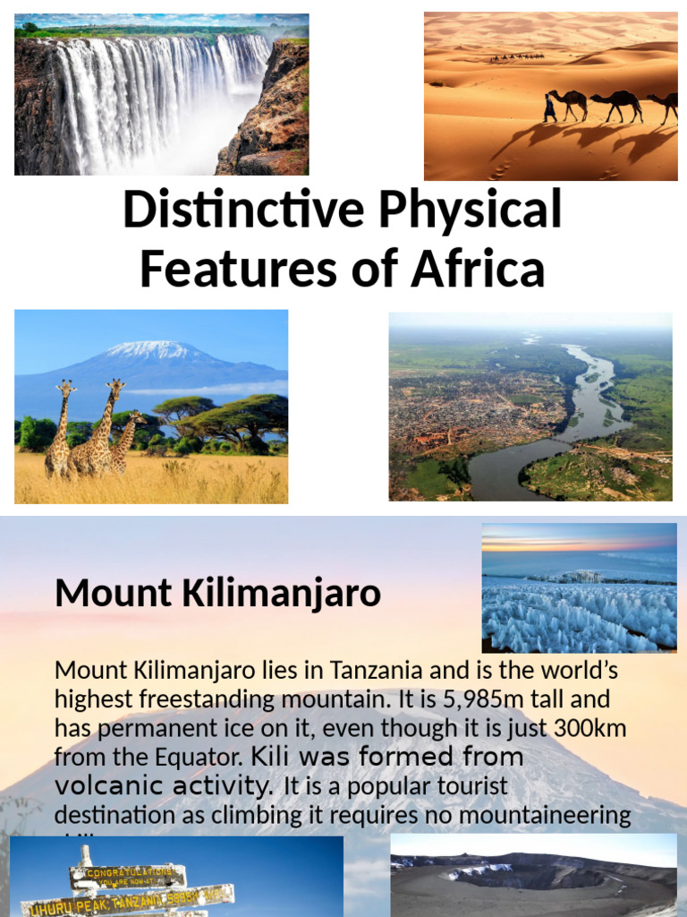 L03 Distinctive Physical Features.pptm | PDF