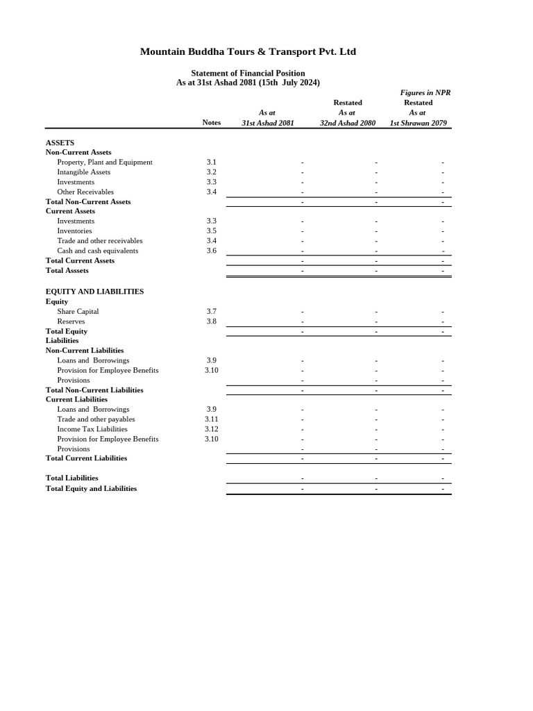 NAS For MEs Model Financials - Final Format | PDF