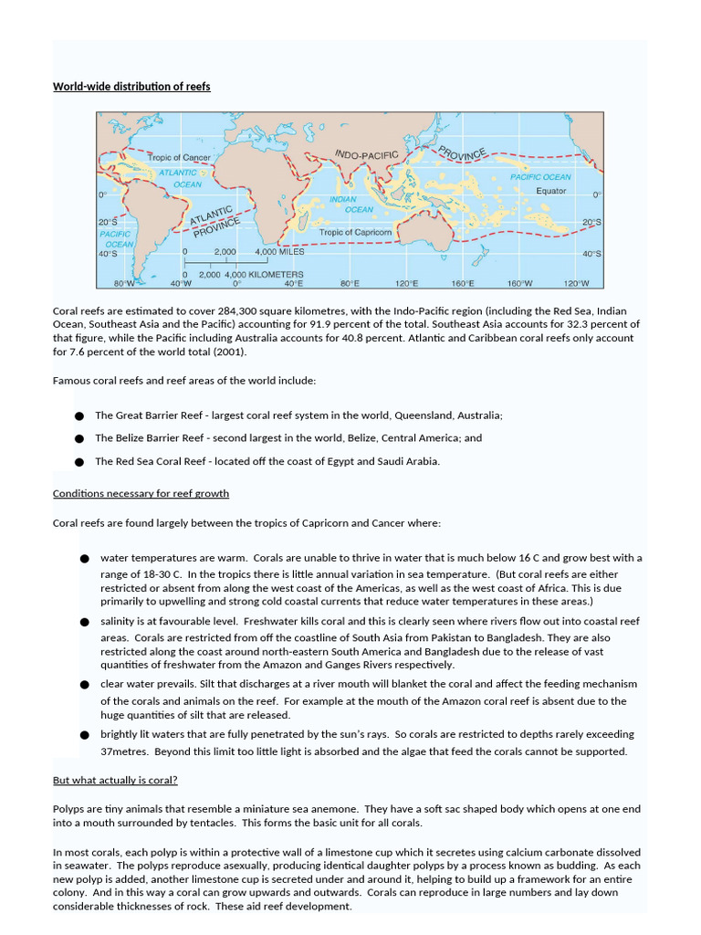 Coral Reef Worksheet | PDF
