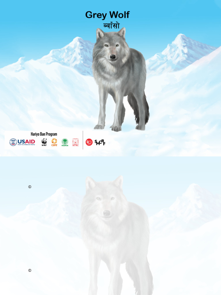 Grey Wolf | PDF