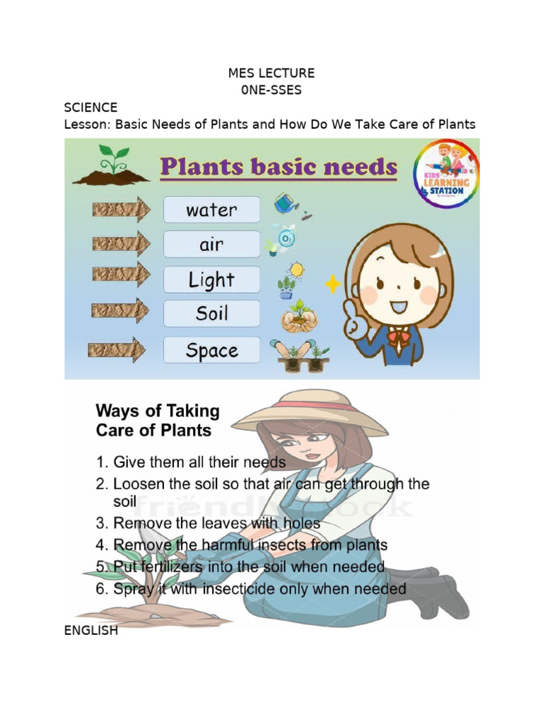 MES LECTURE One SSES | PDF