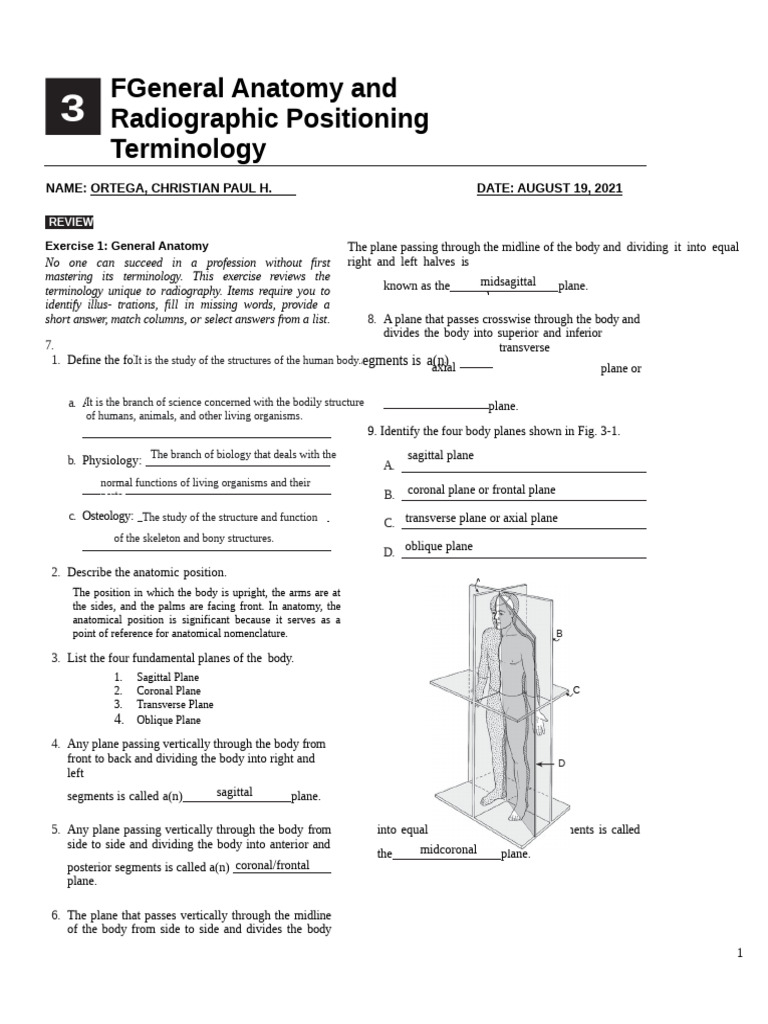 ORTEGA53D RT301 Activity 1. General Anatomy and Radiographic Positioning Terminology 3.docm | PDF
