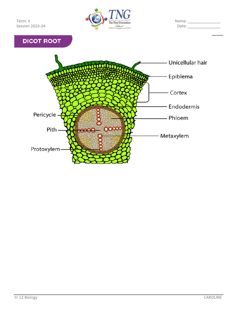 Practical Diagrams | PDF