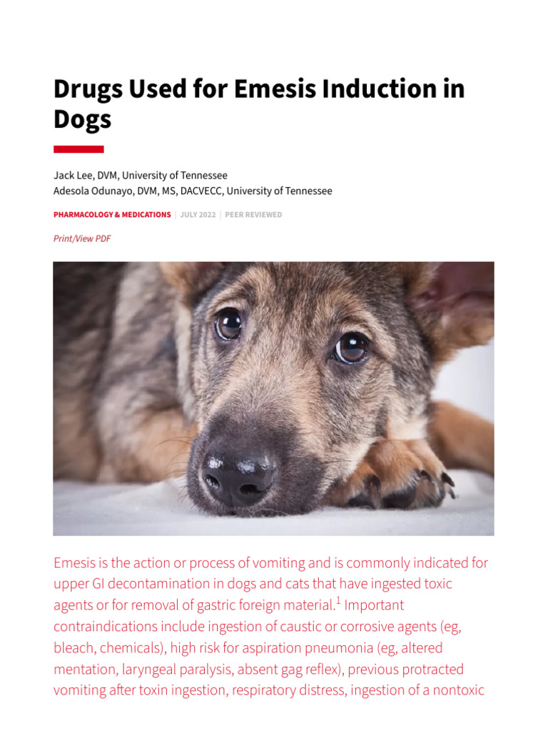 Drugs Used For Emesis Induction in Dogs Merged | PDF | Vomiting | Drugs