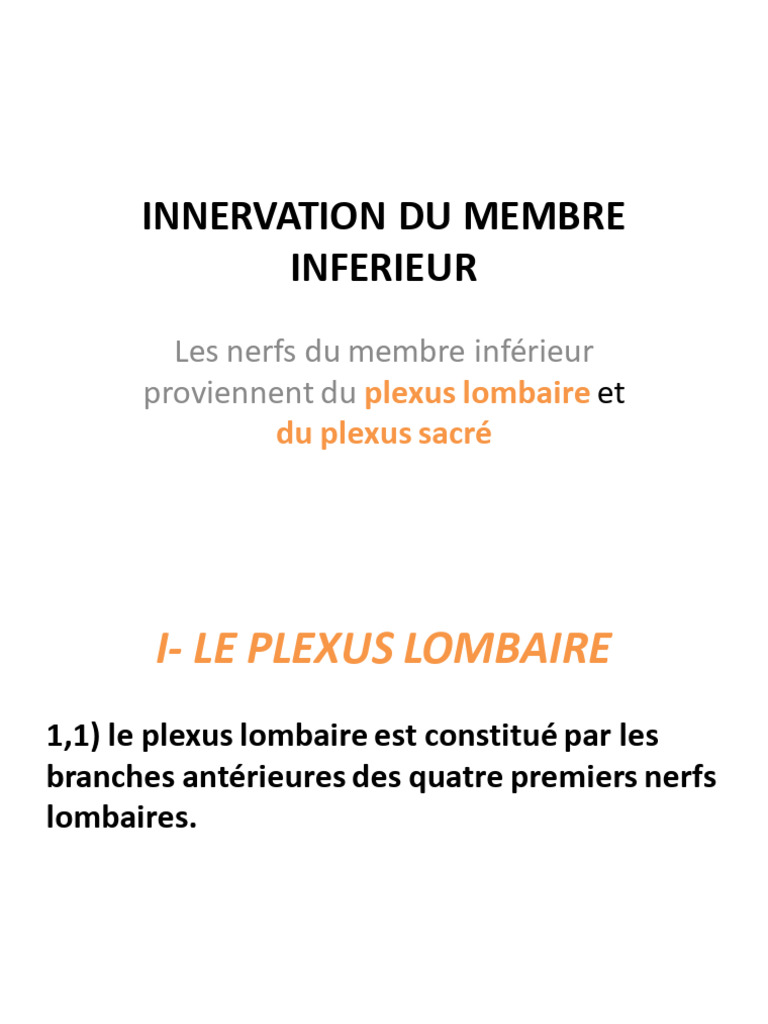 Diapo Innerv Mbre Inf 2 | PDF