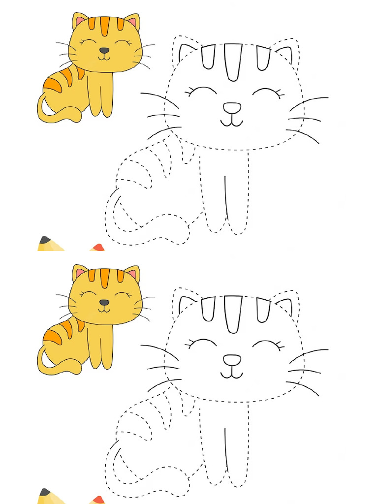 CAT | PDF