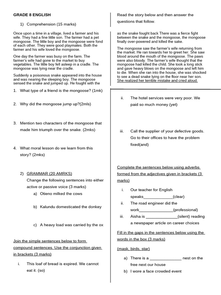 Grade 8 English | PDF