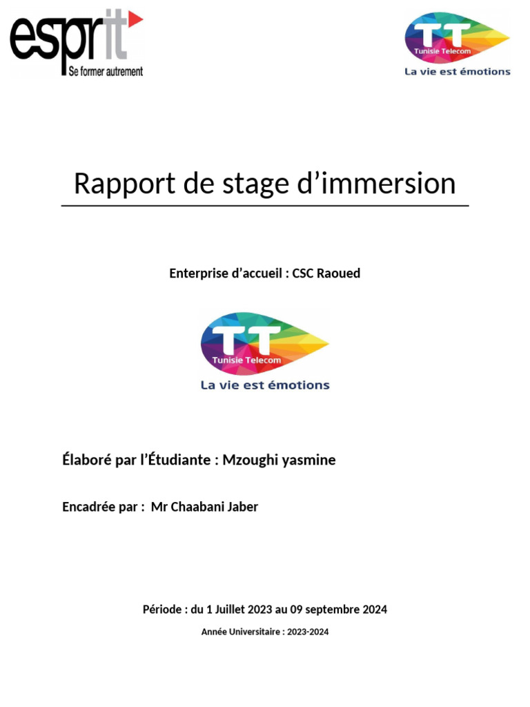 Rapport de Stage D'immersion Fatma Finale | PDF
