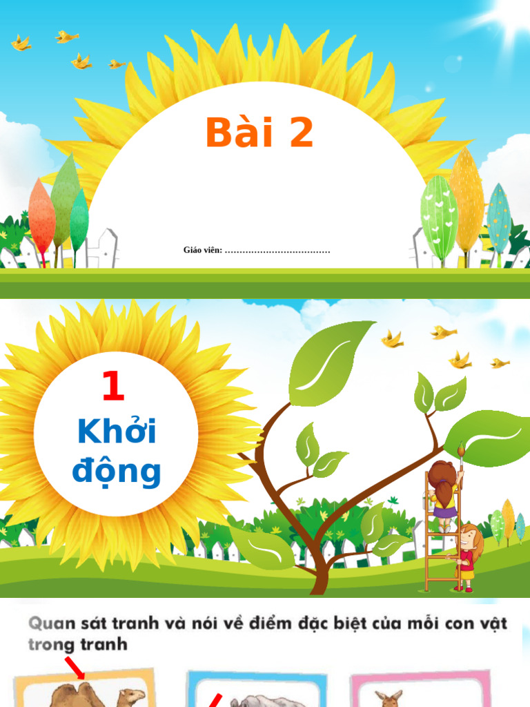 Bai 2 Doi Tai Xau Xi | PDF
