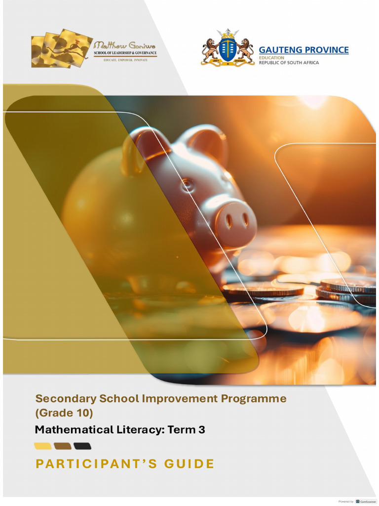 SSIP Grade 10 Mathematical Literacy Term 3 - PG | PDF