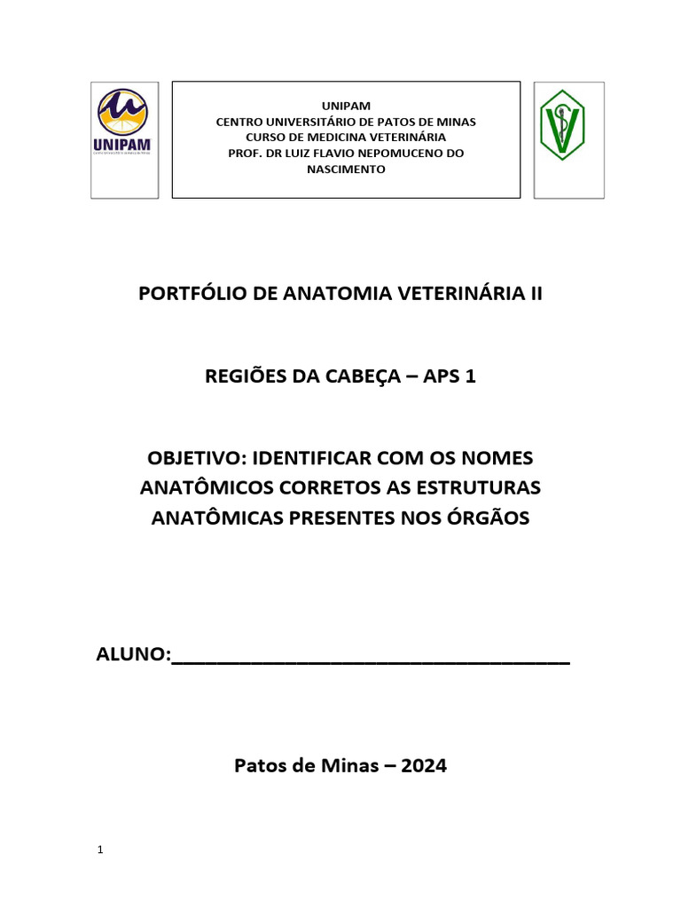Portf - Lio - Regi - Es Da Cabe - A - Aps 1 | PDF
