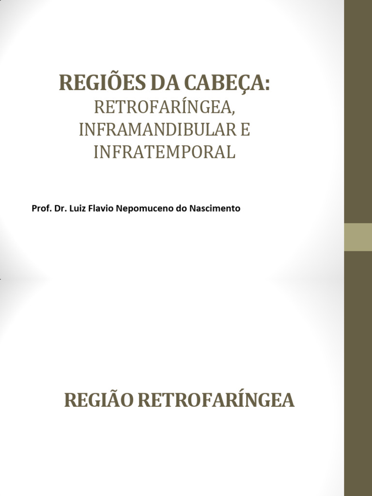 Anatomia Da Regi - Es Da Cabe - A | PDF