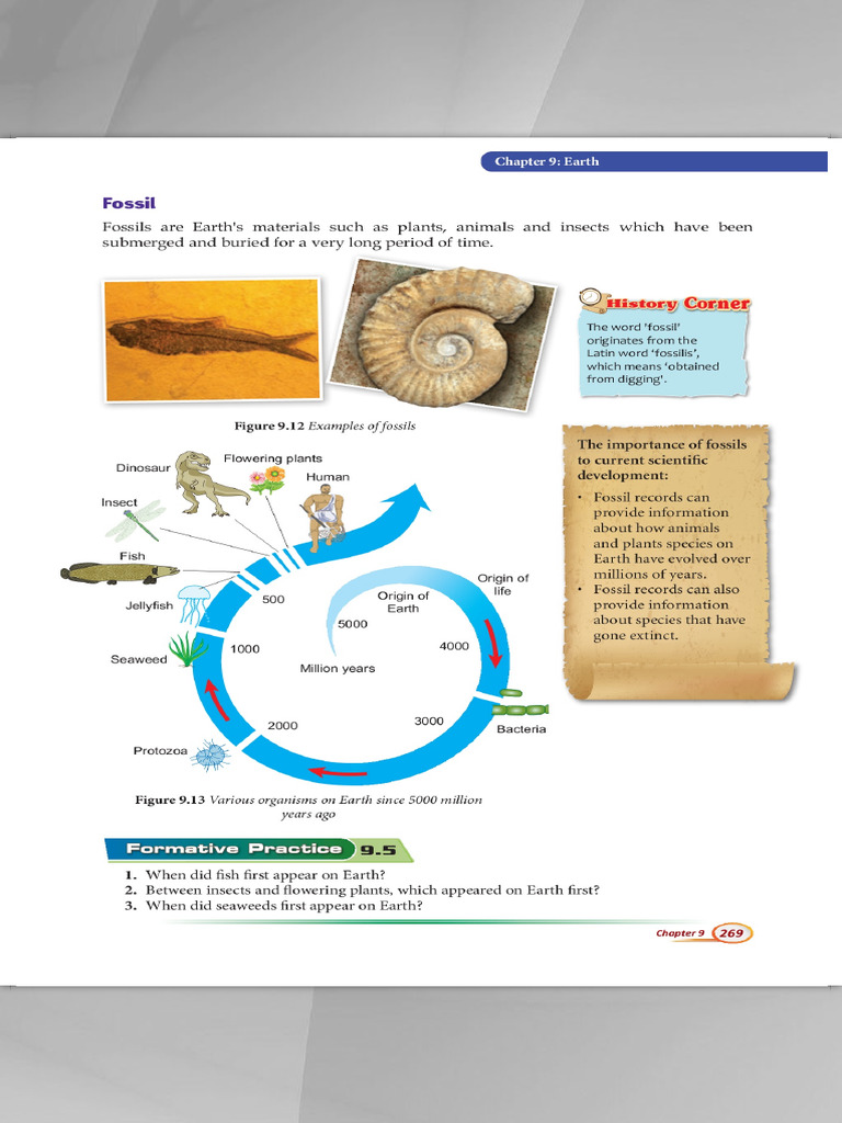 Science Form 1 | PDF