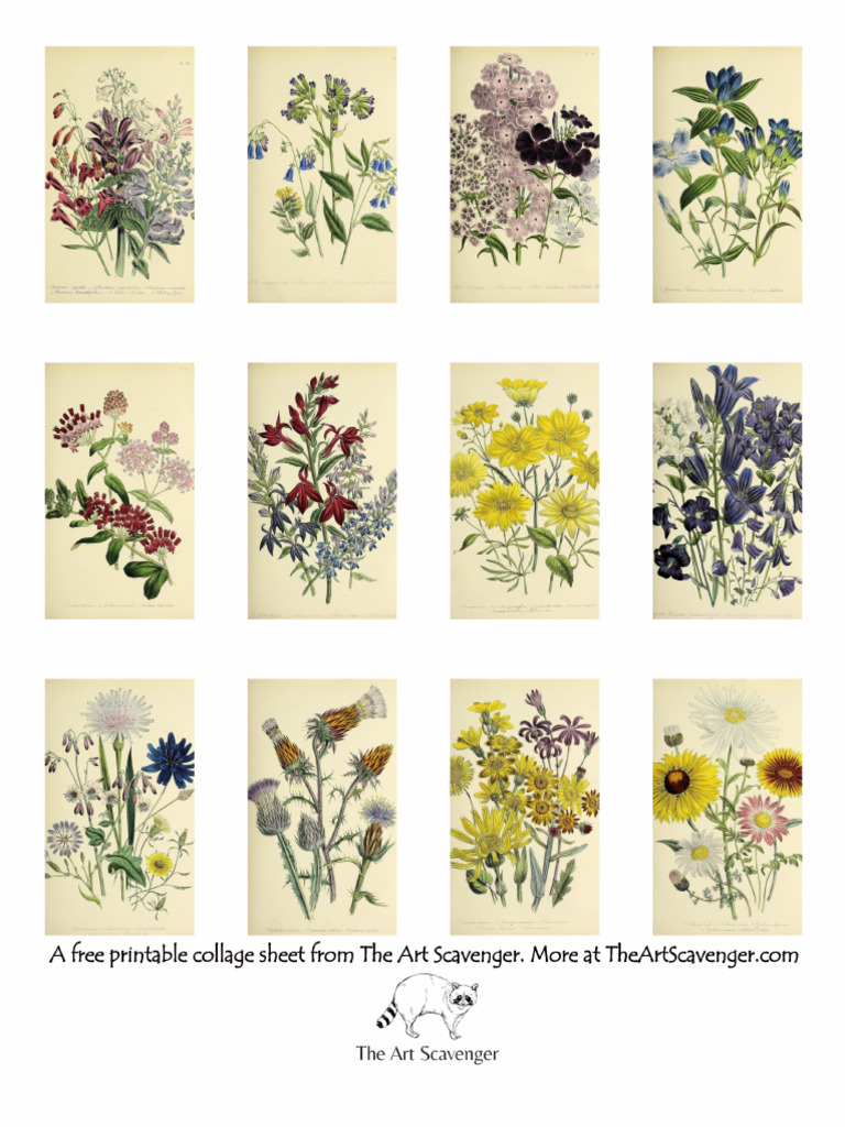 Free Flower Bouquet Printable Collage Sheet 1.5x2.5 Inch Rectangles | PDF