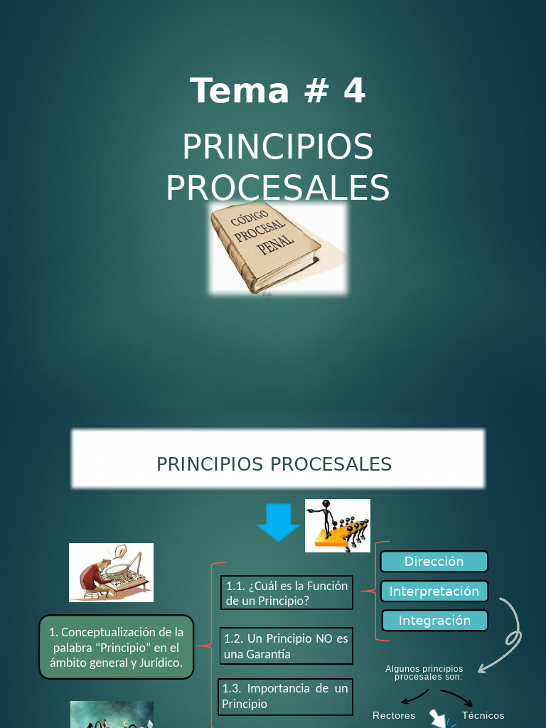 Unidad 4 - Principios Procesales | PDF