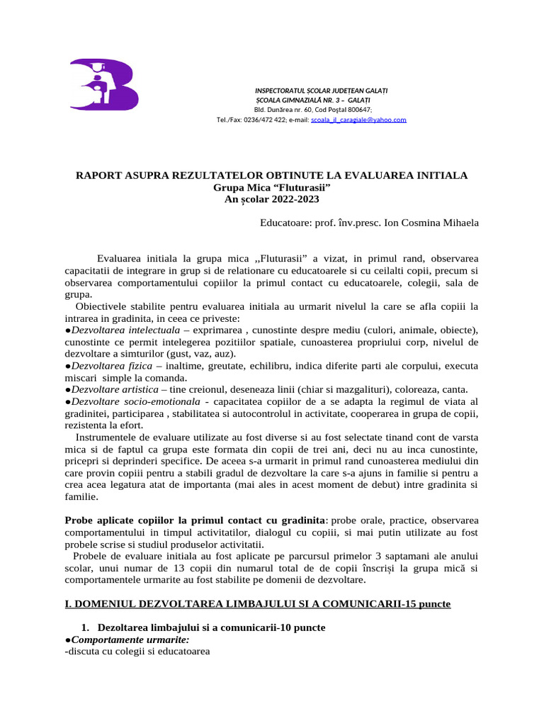 Raport Evaluare Initiala | PDF