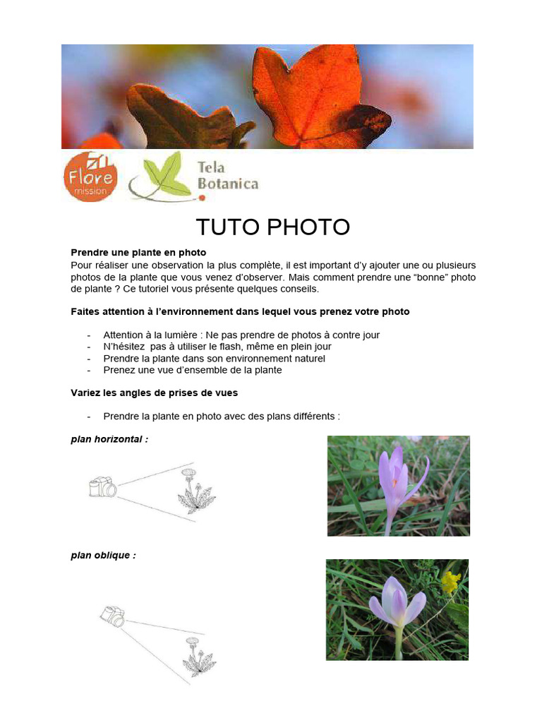 Tuto - Photo Mission Flore | PDF