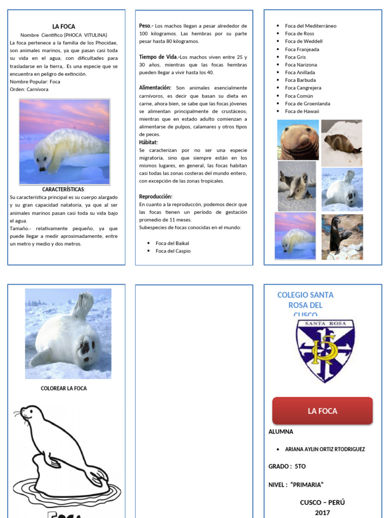 TRIPTICO DE LOS la foca | PDF