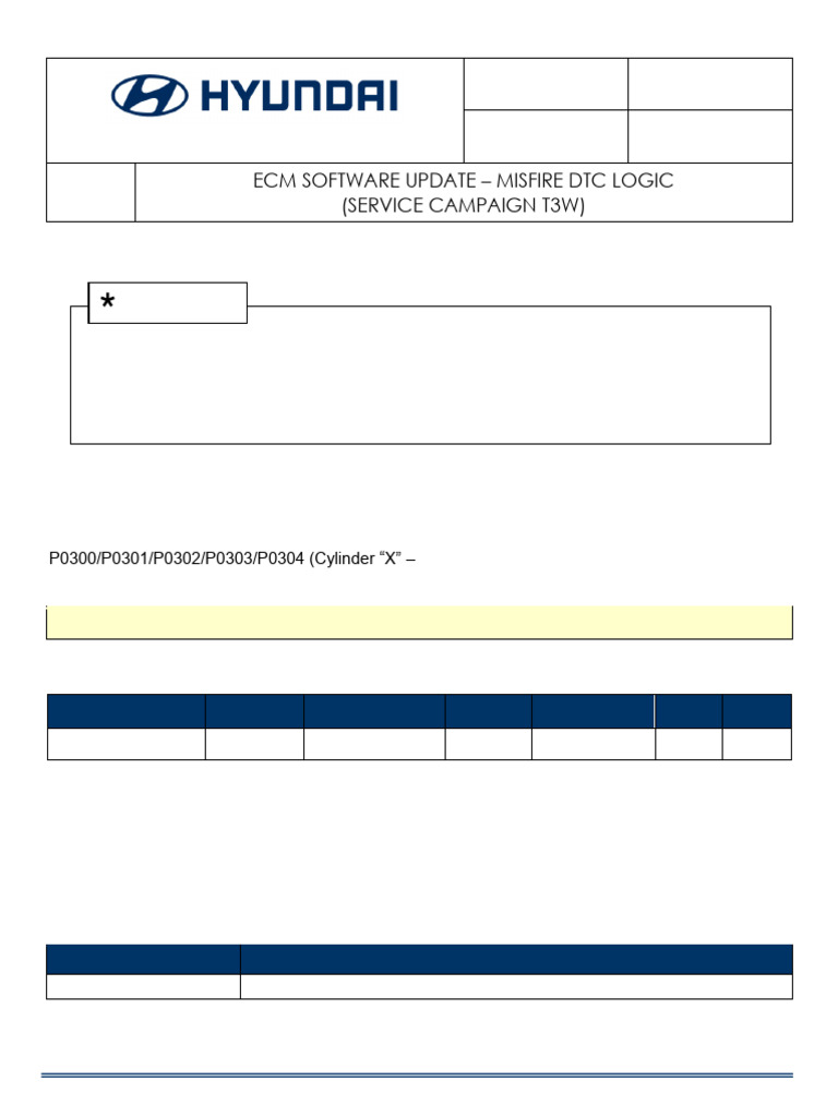 Ecm Software Update Misfire DTC Logic Technical Service Campaign T3W | PDF