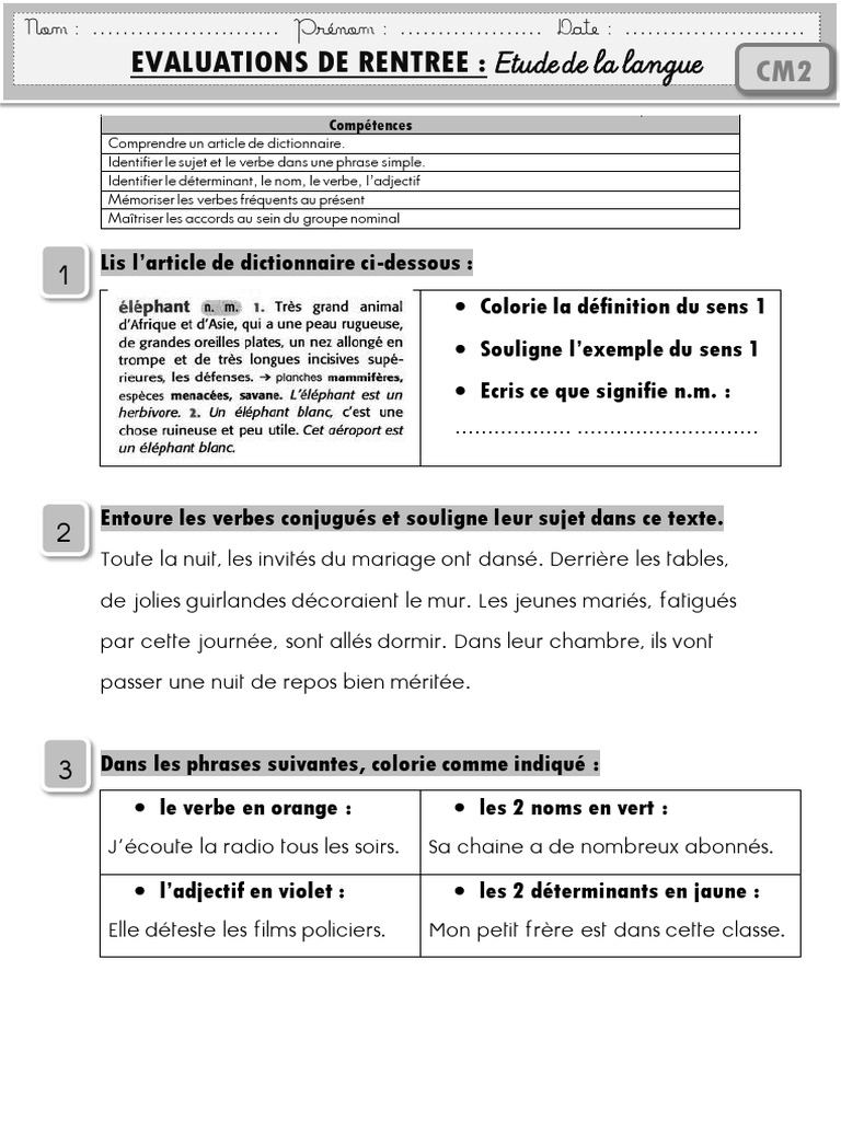 Eval Diag EDL CM2-1-1 | PDF