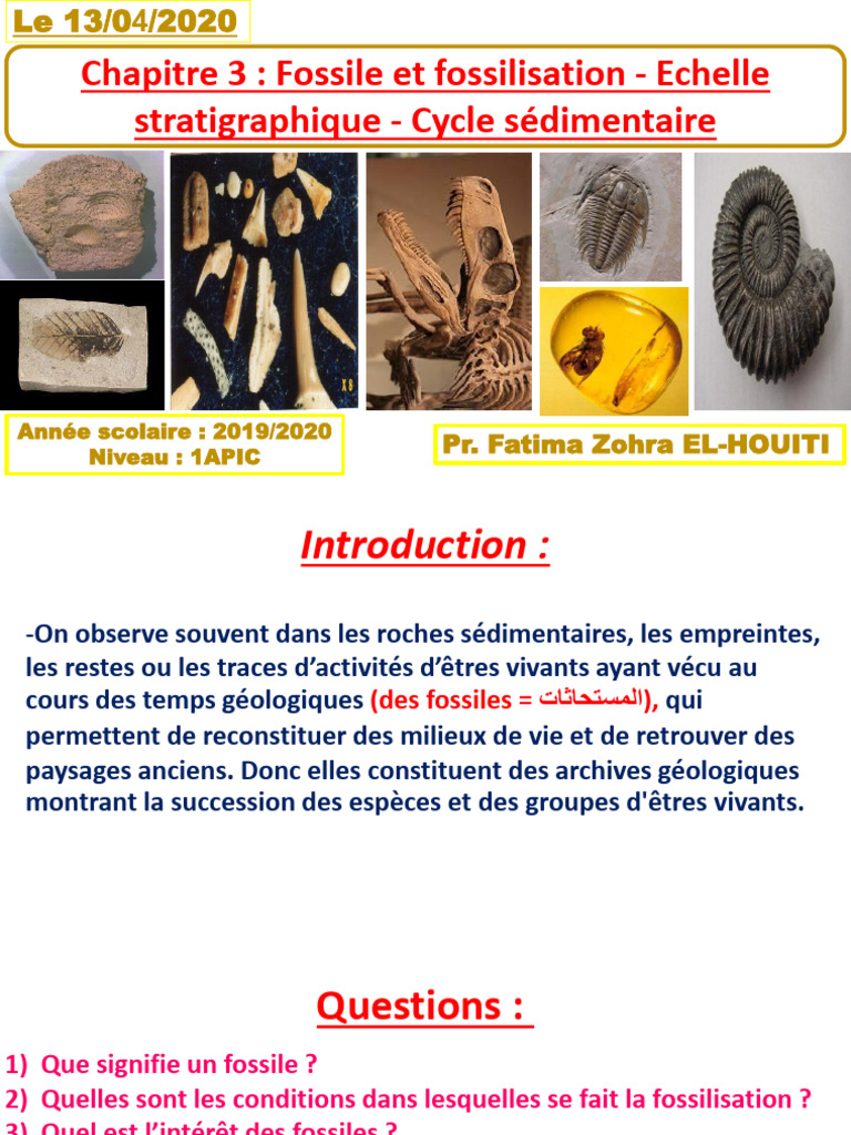 EL-HOUITI, Ch3 Fossile Et Fossilisation-Echelle Stratigraphique-Cycle ...
