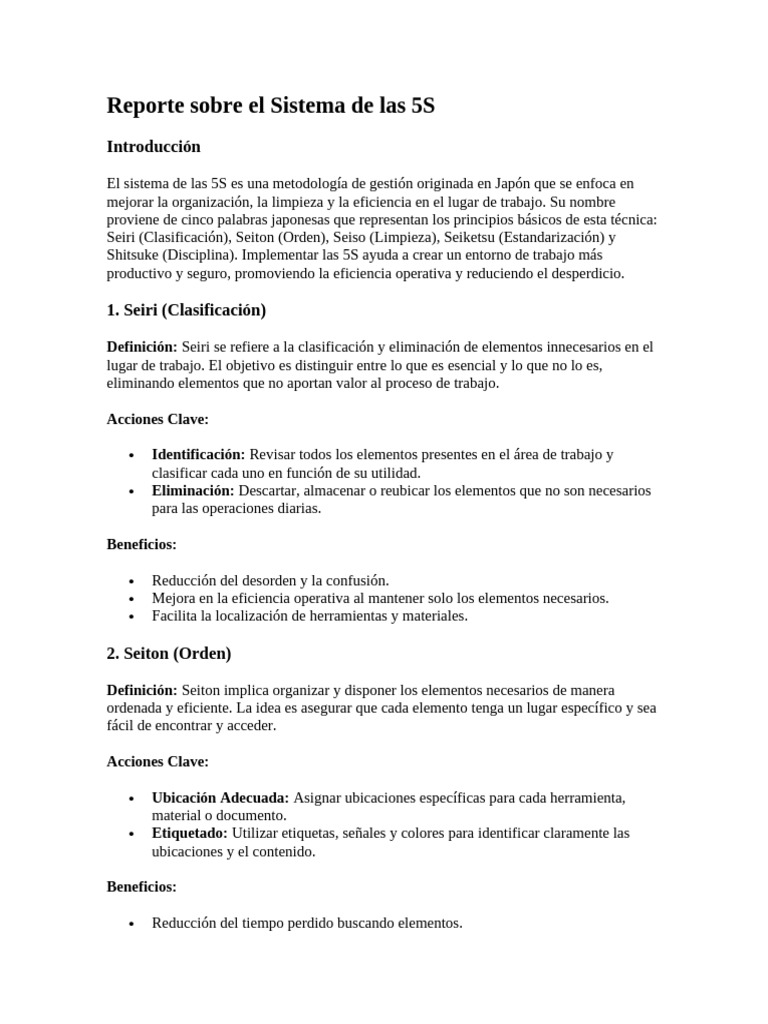 Reporte Sobre El Sistema de Las 5S | PDF