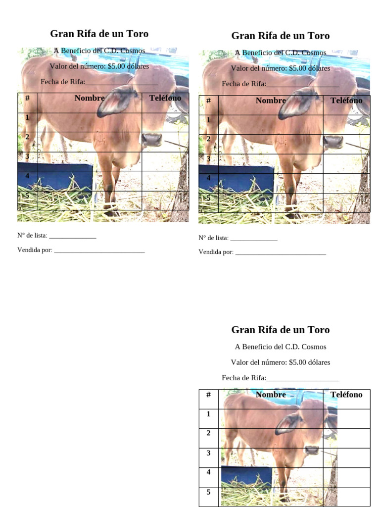 Rifade Un Toro | PDF