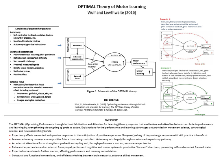 23 OPTIMAL Theory Handout | PDF