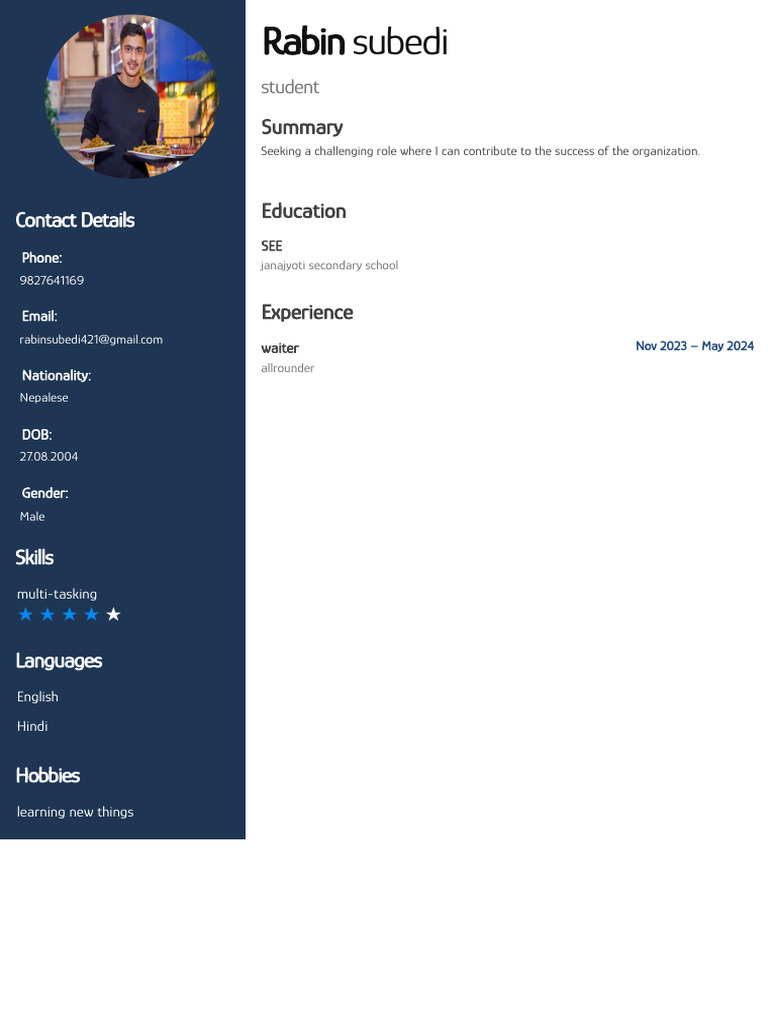 Rabin Resume 294 | PDF